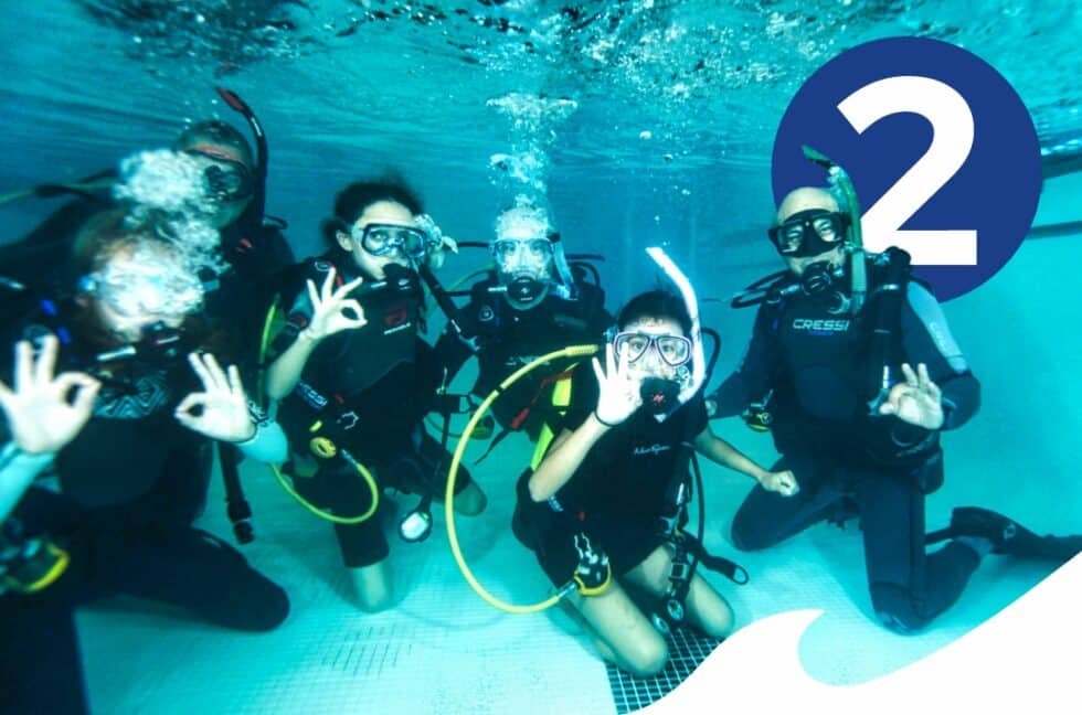 Rey Diving | PADI Certifications & Dive Training in NYC.